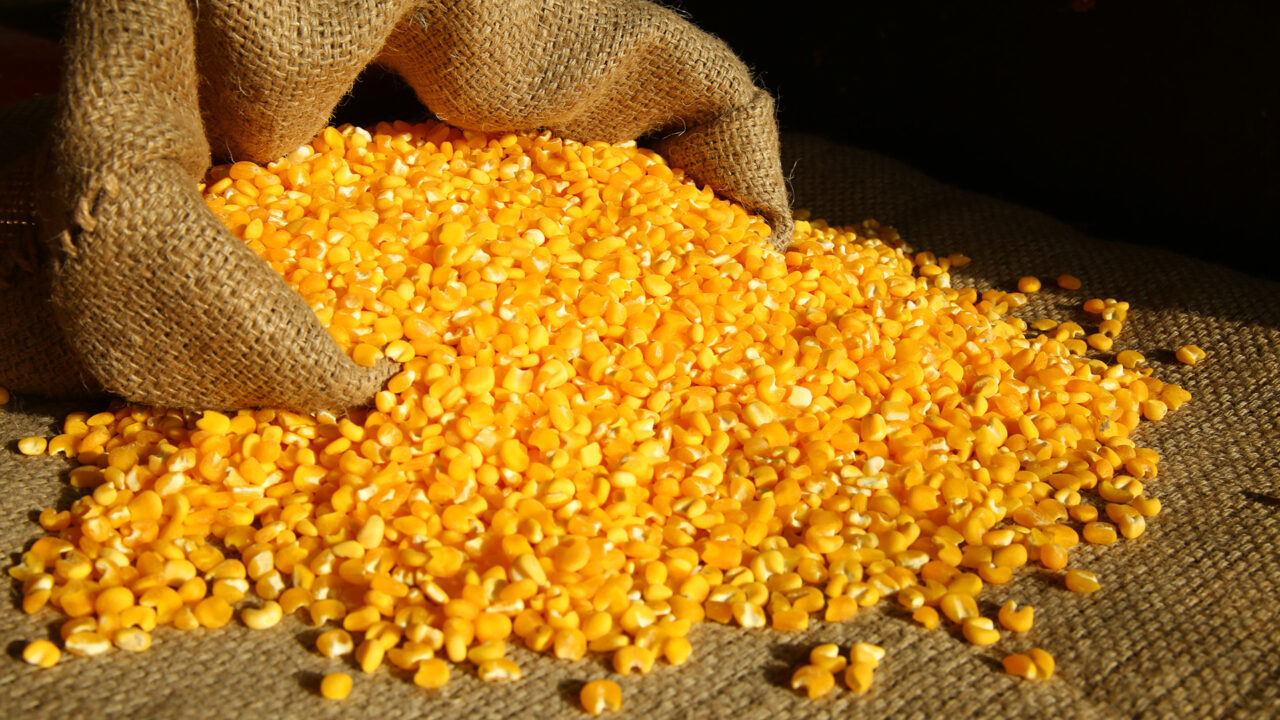 Dry Corn Mill - Revive Milling