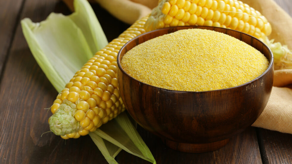 Dry Corn Mill - Revive Milling